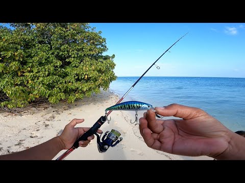 Minnow killer Seharian casting dibuat jangtungan.!!