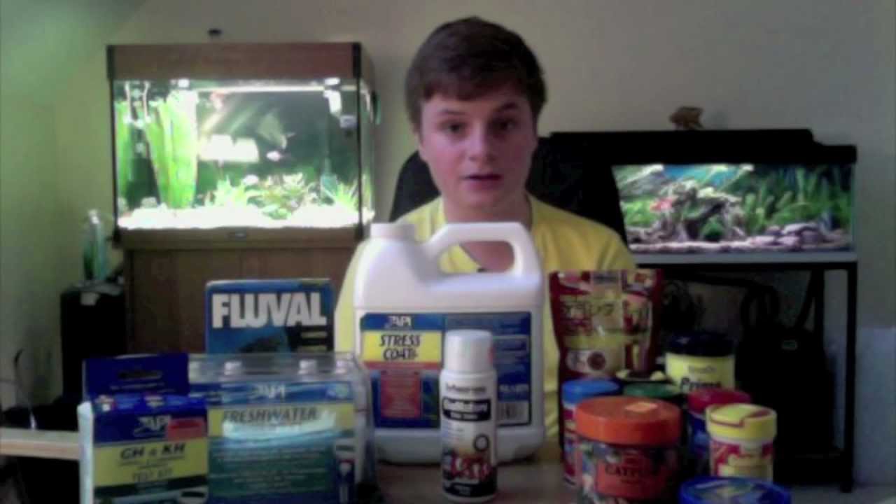 Beginners Guide to Aquariums - The Basics that you need to get started ...