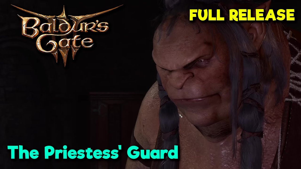 Priestess' guard - Baldur's Gate 3 - Full Release - Raalo the ...