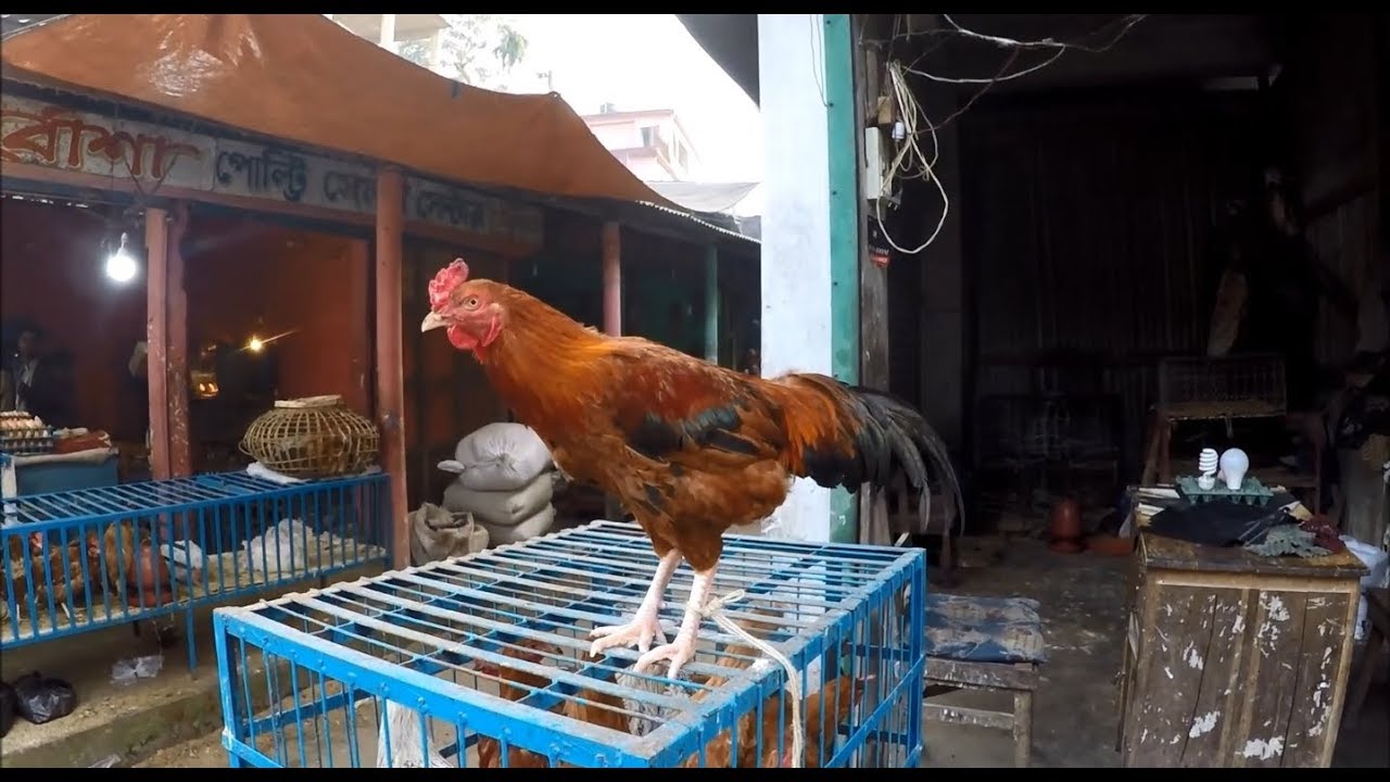 Beanibazar 🇧🇩 Sylhet || Bangladesh - YouTube