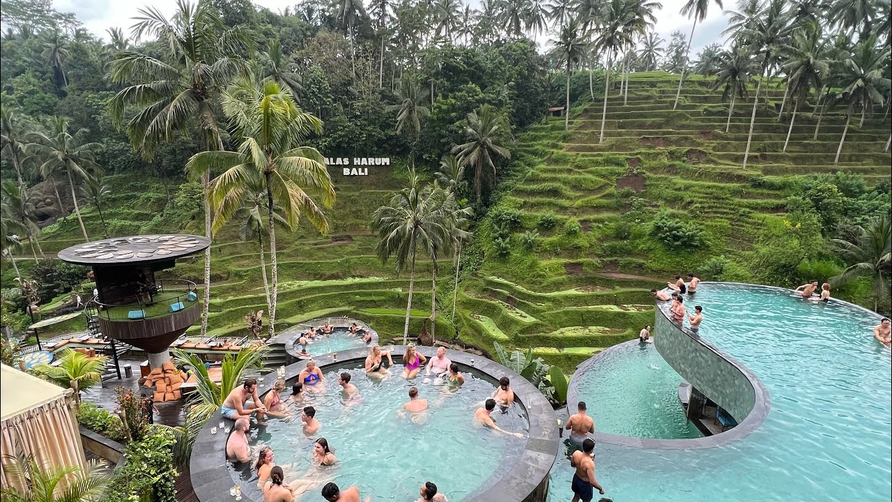 FIRST TRIP TO UBUD BALI, CRETYA UBUD OVERVIEW, RICE FIELD UBUD #ubud # ...