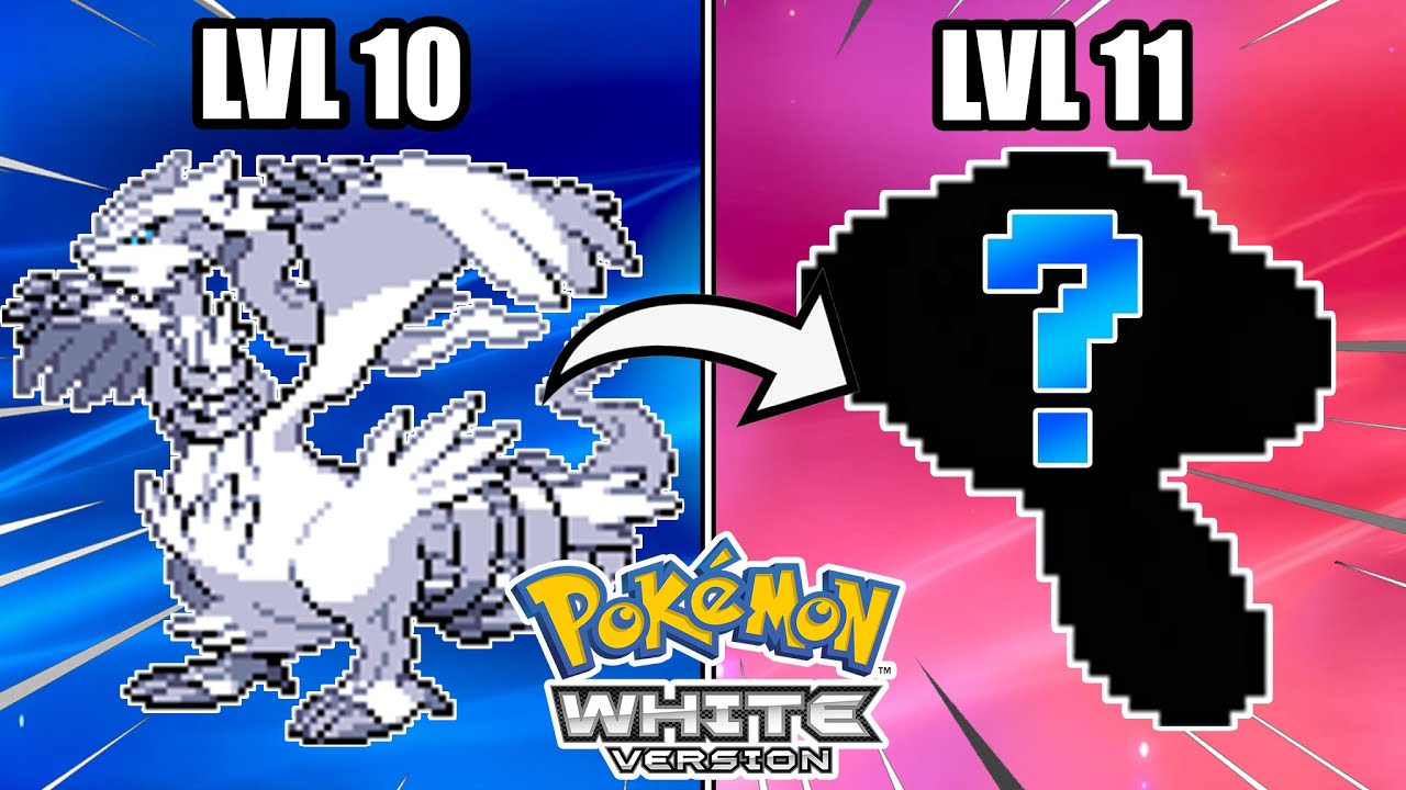 Pokemon White BUT They Randomly Evolve Every Level - YouTube