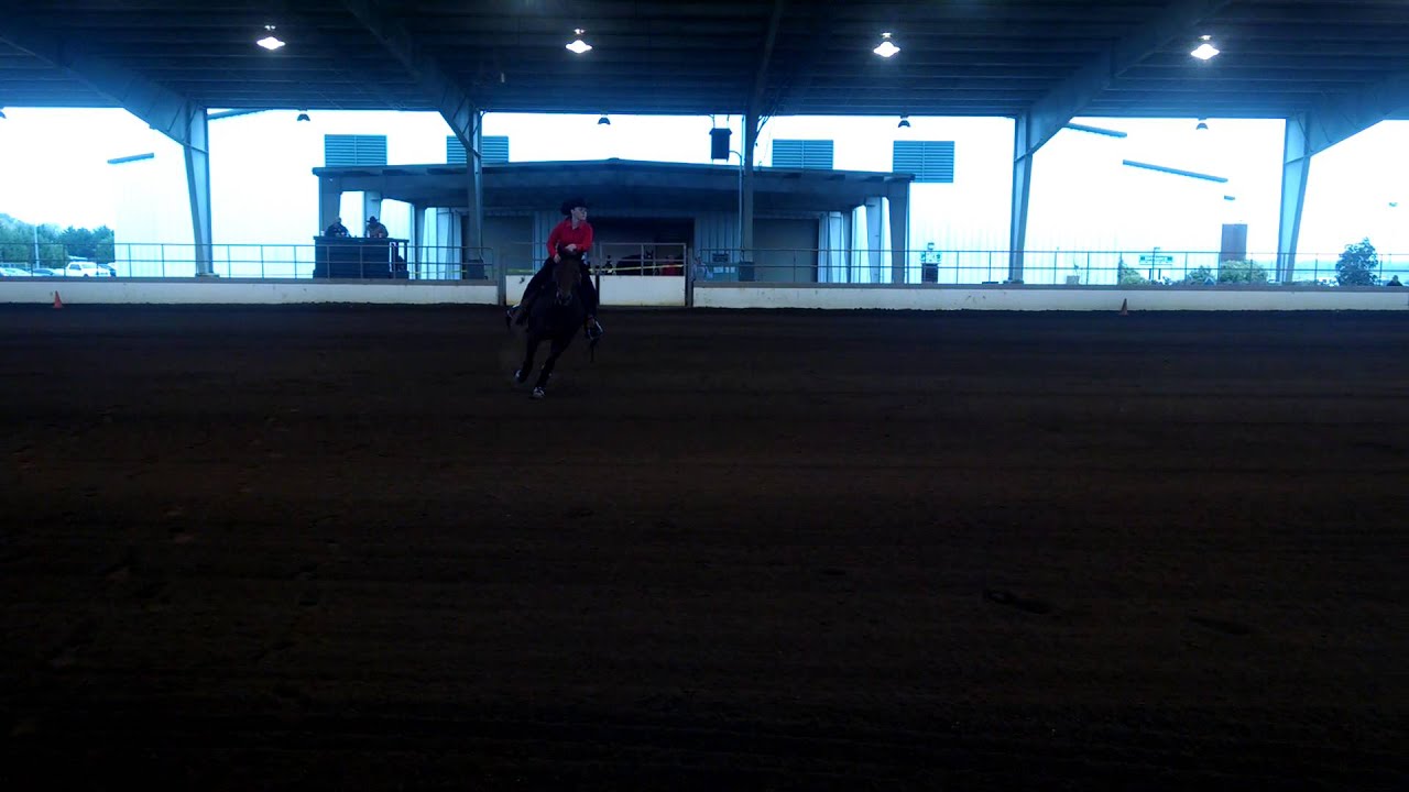 Jordan Carpenter IEA Varsity Open Reining - YouTube