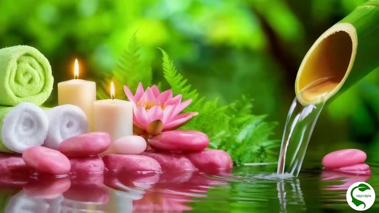 Calm Your Mind🌿Gentle Music & Water Sounds for Stress Relief & Sleep ...