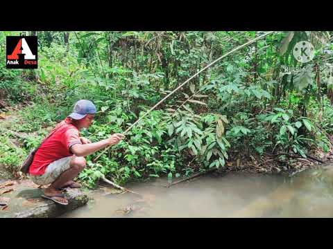 Kenakalan bocil #film pendek #Anak Desa Suro