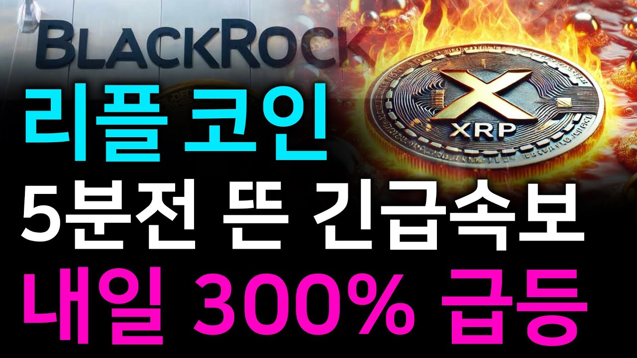리플코인 5분전 뜬 긴급속보 리플 리플코인 리플코인전망 리플전망 Xrp 리플etf 리플실시간 Youtube