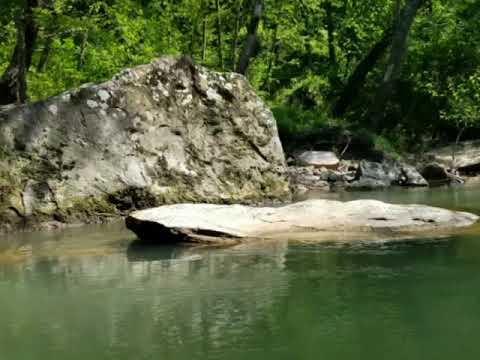 Canoeing the Rockcastle River - YouTube