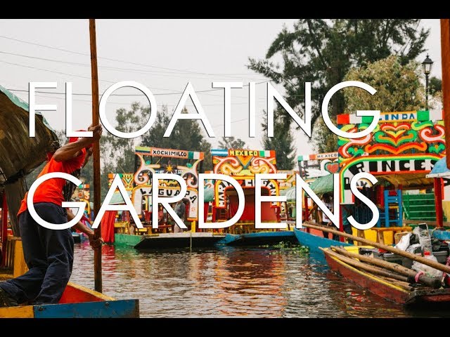 Aztec Floating Gardens Mexico City | Fasci Garden