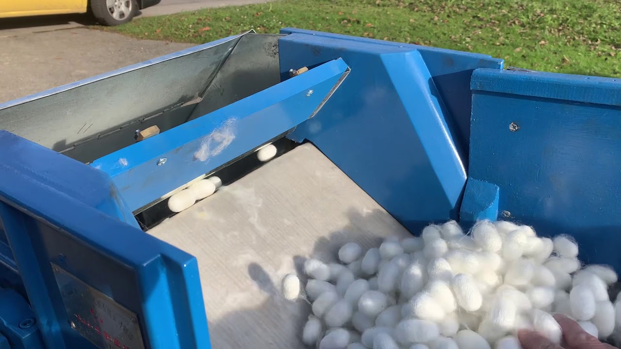 Entfernen der "Seidenwatte" / De-flossing of cocoons - YouTube