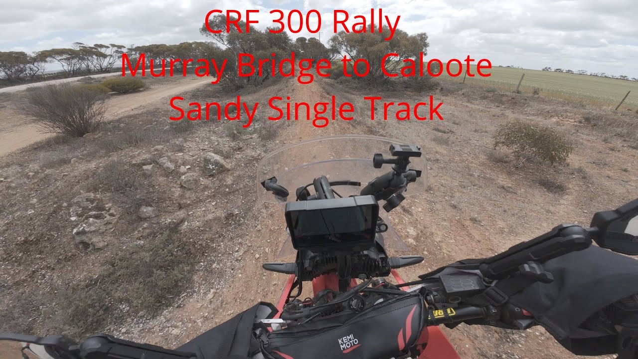 Murray Bridge to Caloote CRF300 Rally Sandy Single track - YouTube