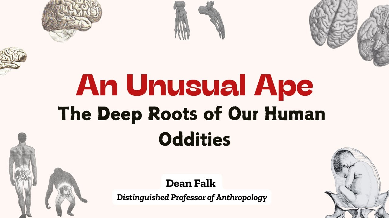 An Unusual Ape: The Deep Roots of Our Human Oddities (Origins of ...
