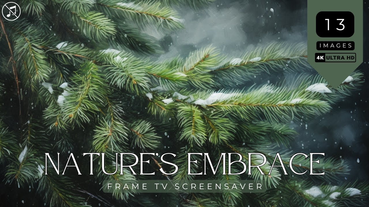 Nature's Embrace: Evergreen & Berry Screensaver | 4K Screensaver ...