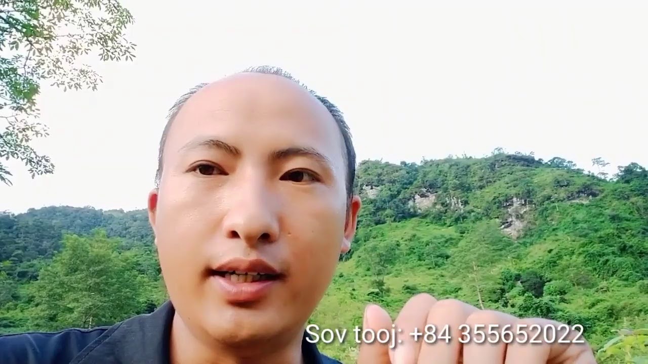Tshuaj zoo rau tus tuag 1 sab cev & tuag tes taw 4 tus Tshuaj Ntsuab ...