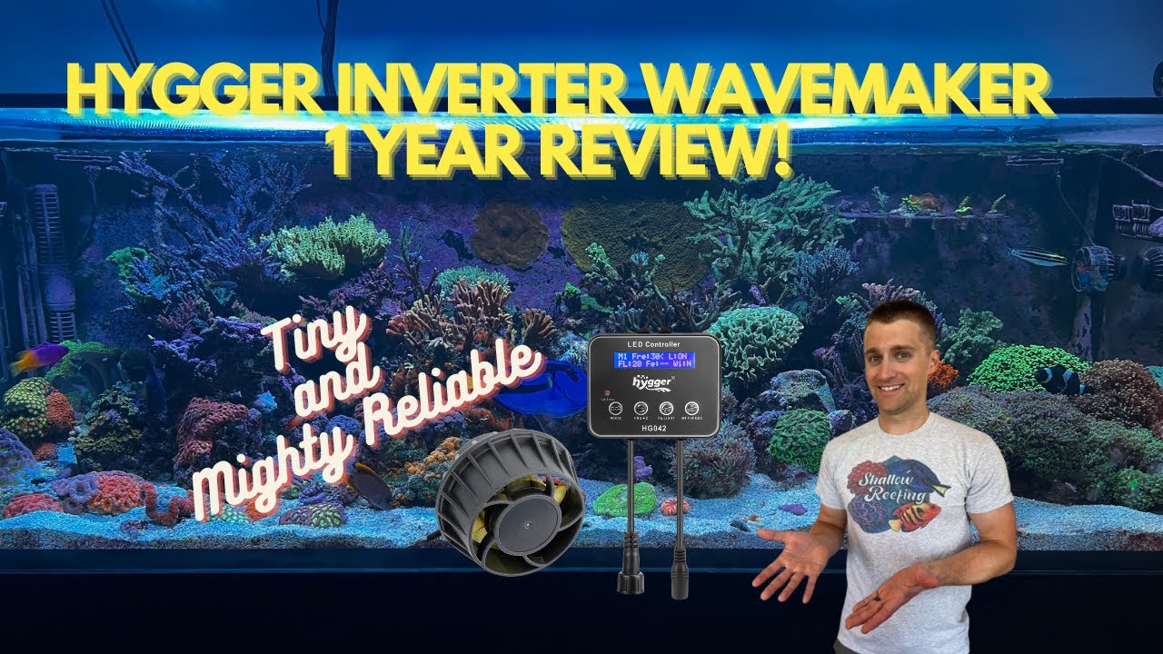 Hygger Aquarium Inverter Wavemaker Pump HG042- 1 Year Review - YouTube
