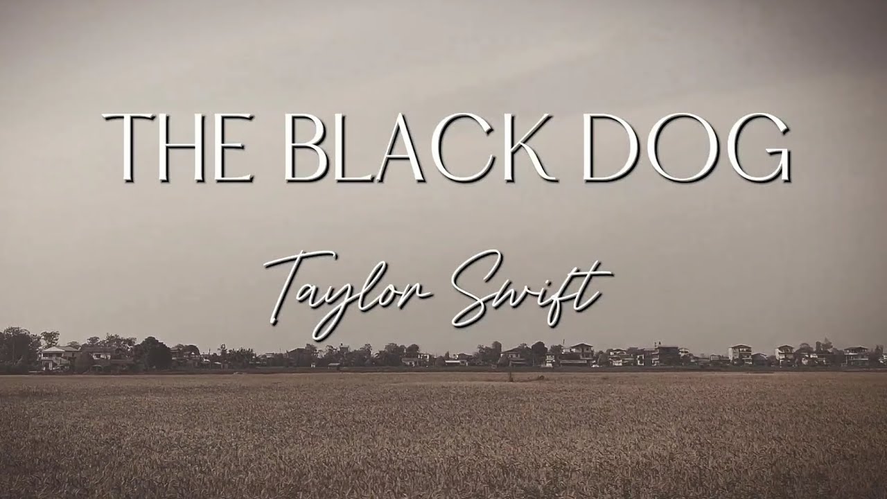 Taylor Swift - The Black Dog (lyric video) - YouTube