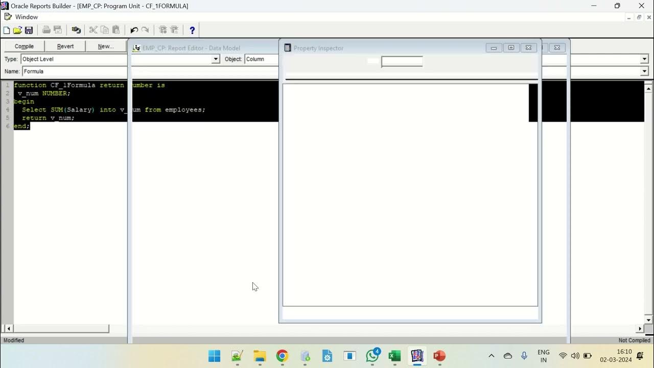 Oracle Reports 12c in Hindi: Page Break, Placeholder column, Lexical Parameter, Report Block ...