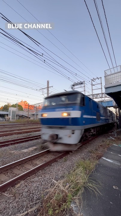(貨物列車) 2024/11/13 3075レ EF210-117 + コキ20B (+10分) (札幌タ〜名古屋タ) #Shorts - YouTube