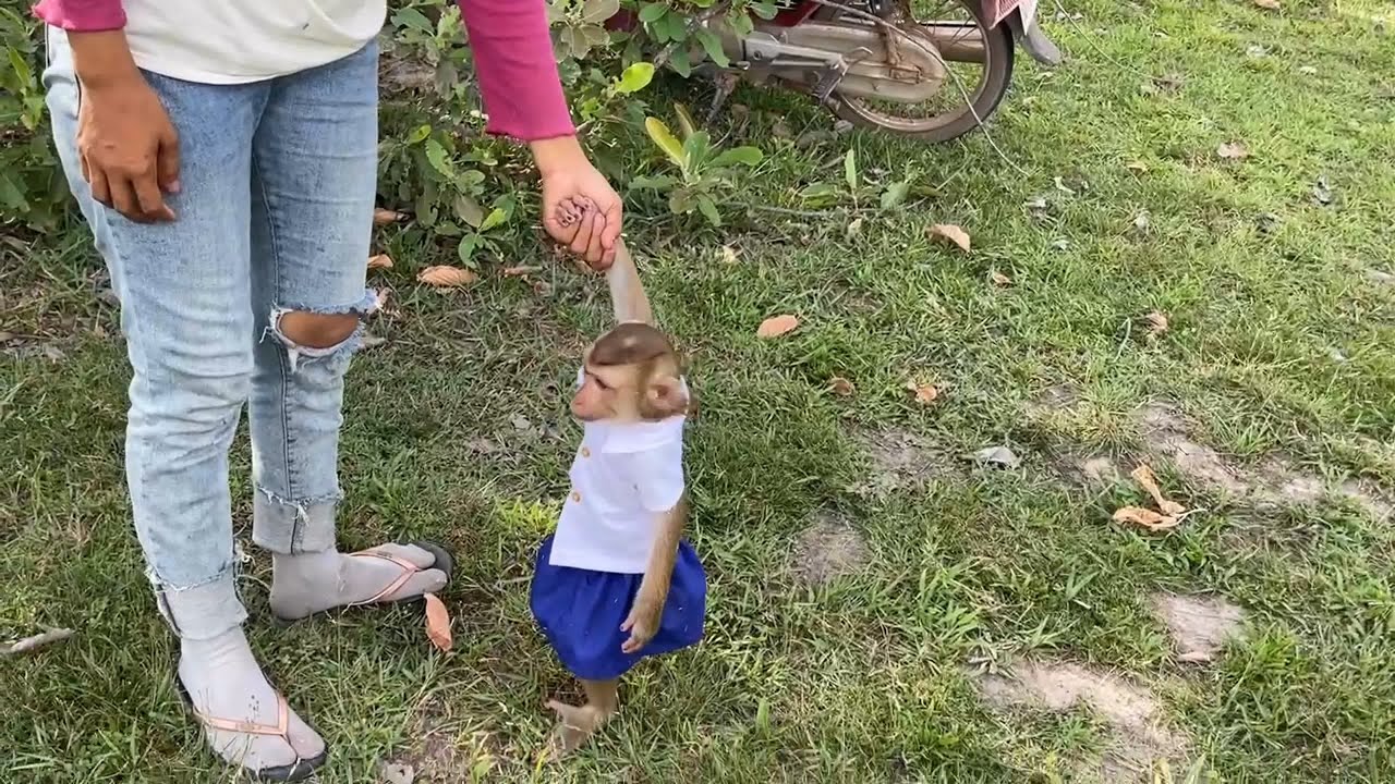 Lovely Smart Baby Standing 2 Leg Walking With Lovely Mother - YouTube