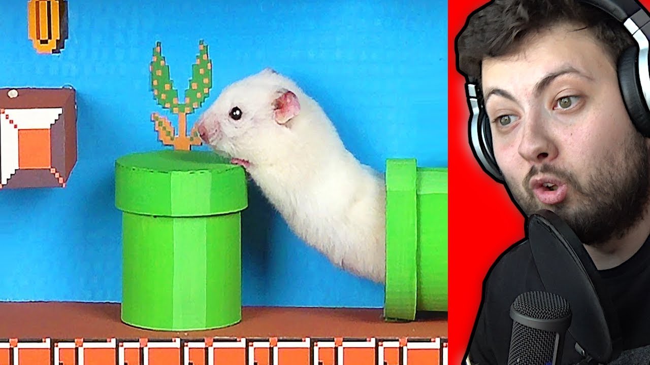 CHOMIK vs SZALONE LABIRYNTY w Prawdziwym ŻYCIU! - YouTube