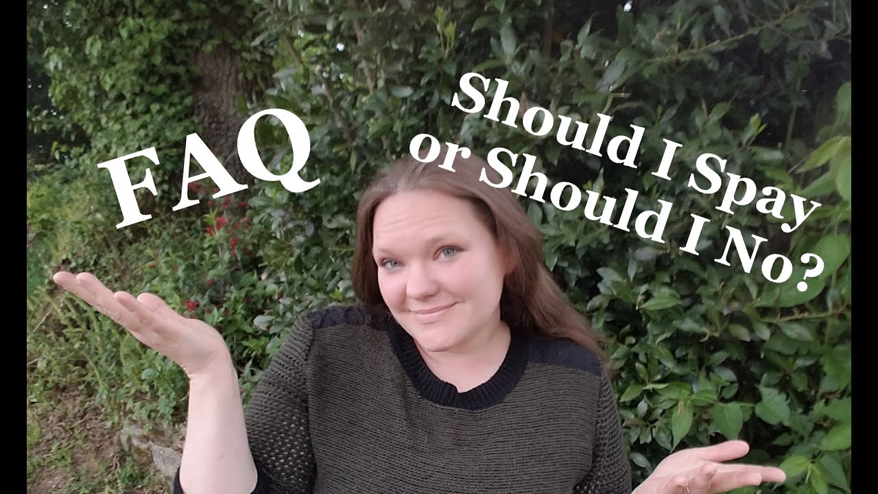 FAQ Should I Get My Dog Fixed YouTube faq-should-i-get-my-dog-fixed-youtube