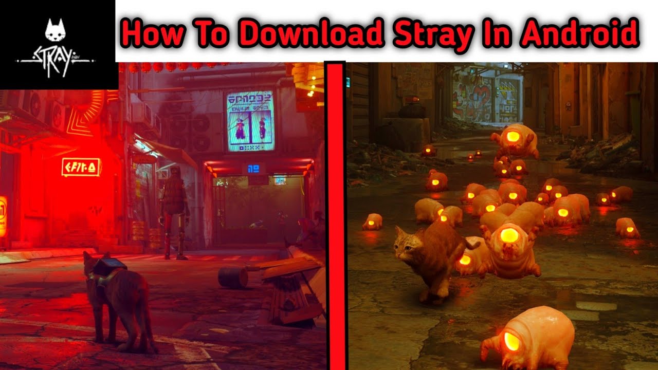HOW TO DOWNLOAD STRAY IN ANDROID | STRAY ANDROID | HOW TO PLAY STRAY ...