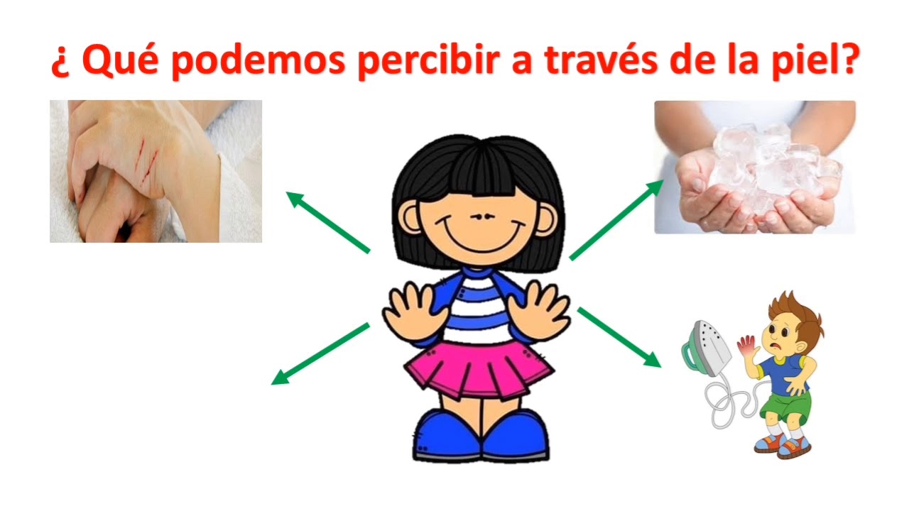 TEMA: Sentido del tacto - YouTube