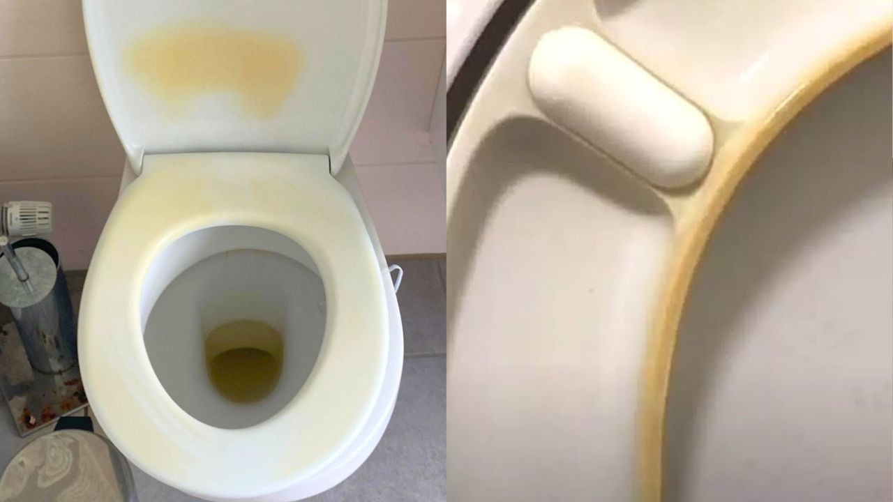 Squeeze it out and rub it on the toilet seat. Yellow stains will ...