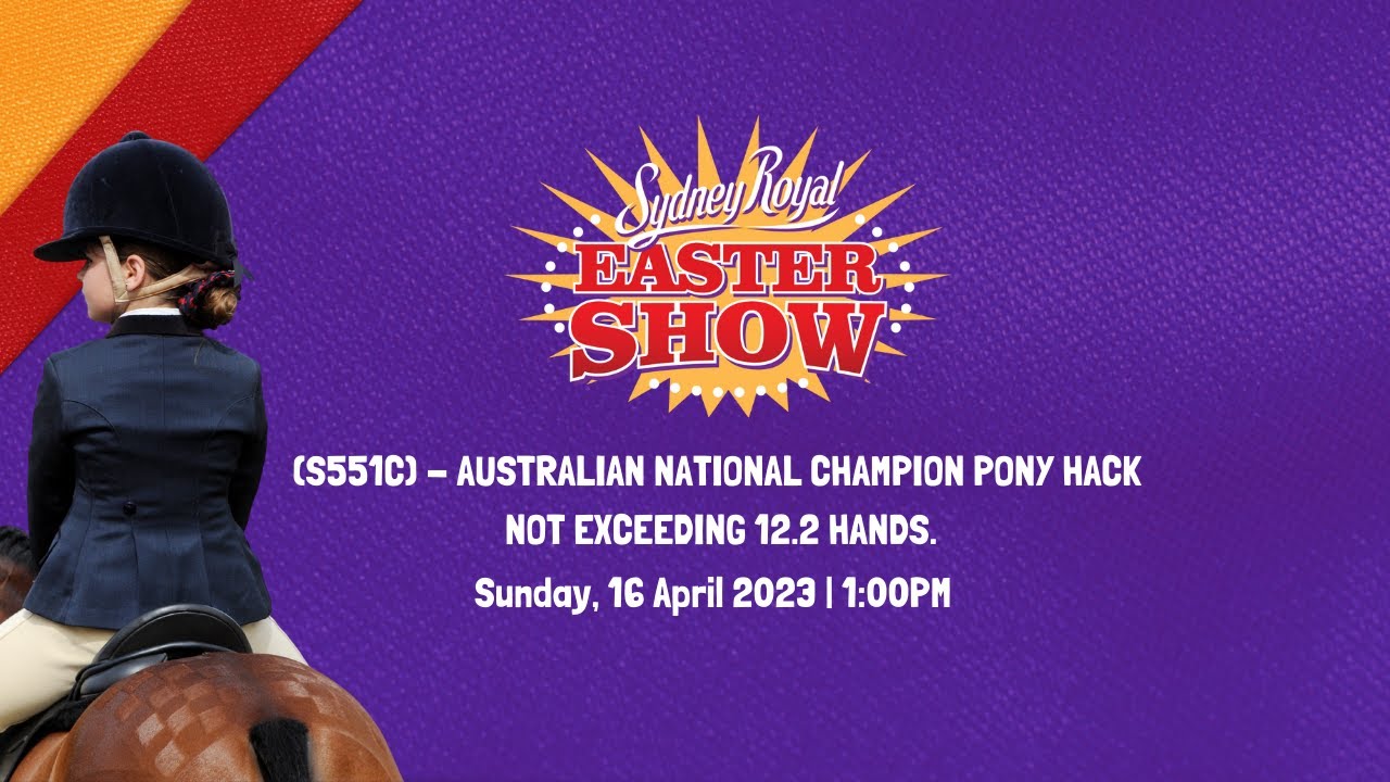 (S551C) - AUSTRALIAN NATIONAL CHAMPION PONY HACK NOT EXCEEDING 12.2 ...