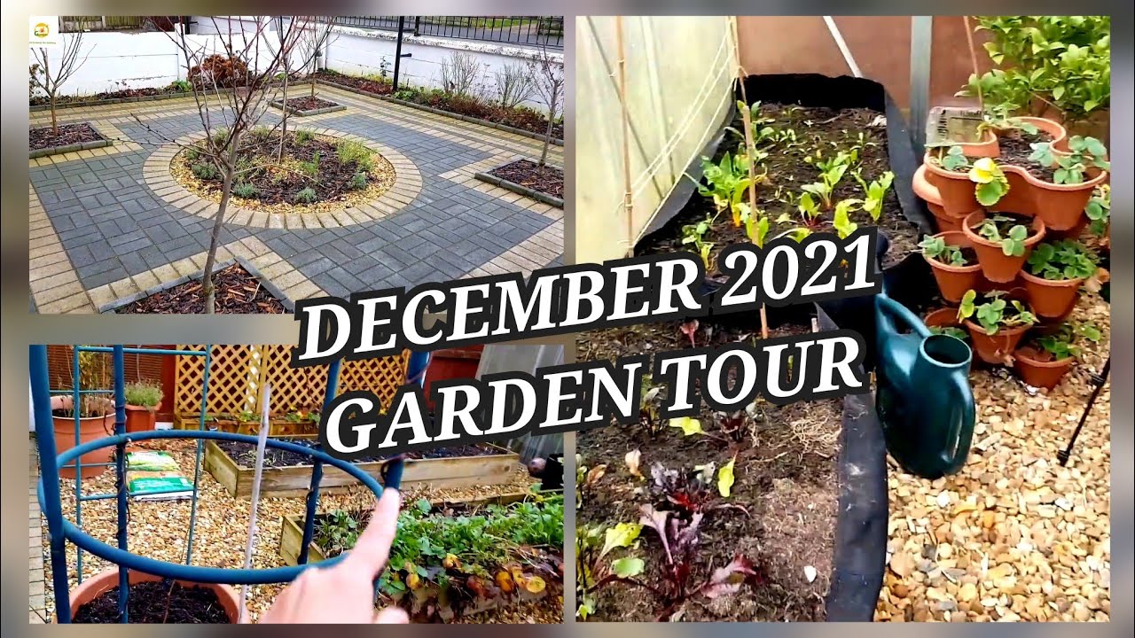 December garden tour 2021~ winter garden tour UK ~ End of year small ...