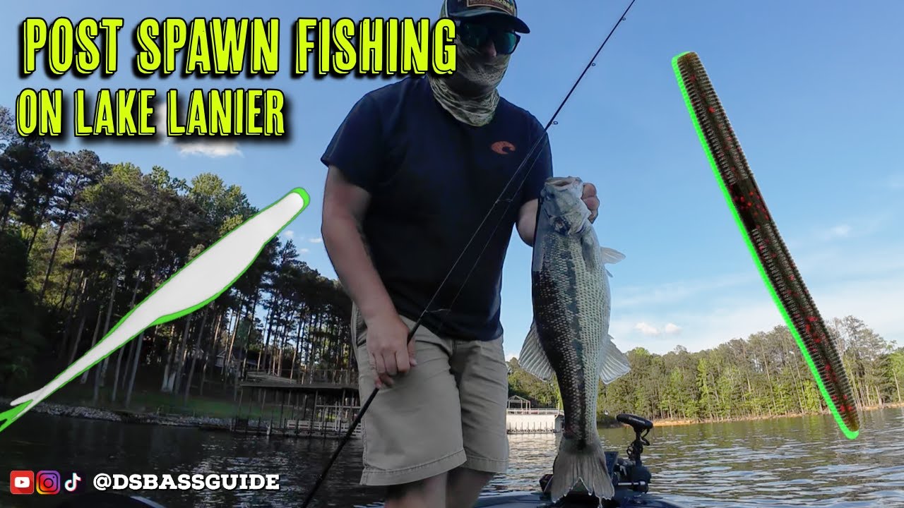 Bass Fishing The "POST SPAWN FUNK" on Lake Lanier - YouTube