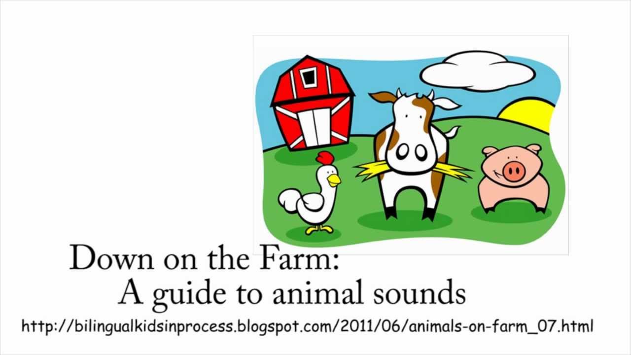 Down on the Farm: A guide to animal sounds - YouTube