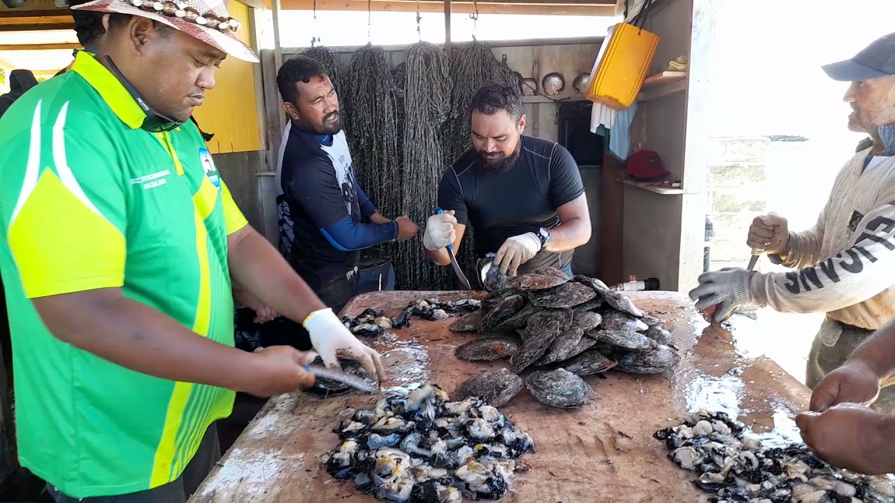 opening the Korori in Manihiki - YouTube