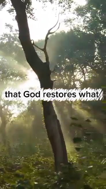 Psalm 23:3 — God Restores My Soul | Encouragement & Prayer - YouTube