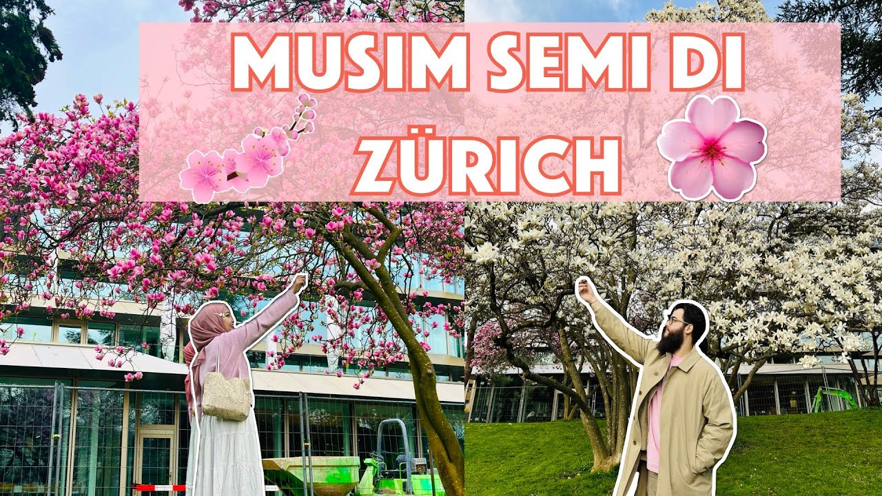 Berburu Bunga-Bunga Indah di Musim Semi di Zurich Swiss - YouTube