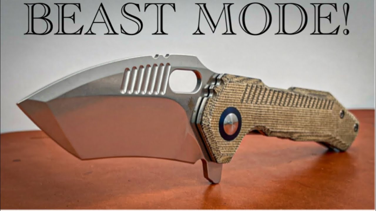 Kizer Knives Mini Paragon - Get The Lowdown on This Beast - YouTube