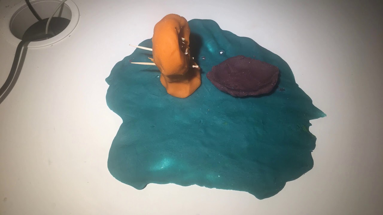 The Incident At Sea... (Stop-Motion) - YouTube