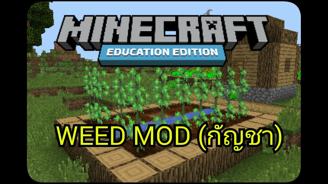 Modกัญชาสุดเมา(WEED Mod)Minecraft pe 0.14.X - YouTube