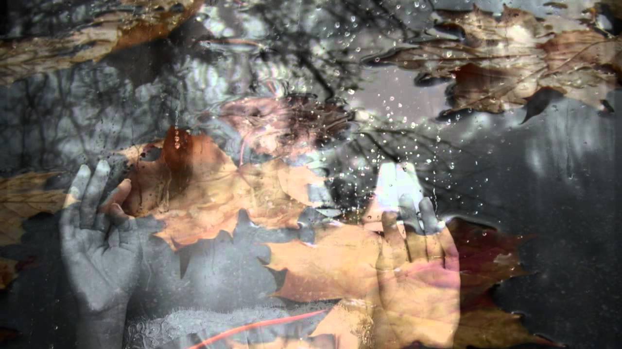 Jesse Cook - Down Like Rain - YouTube