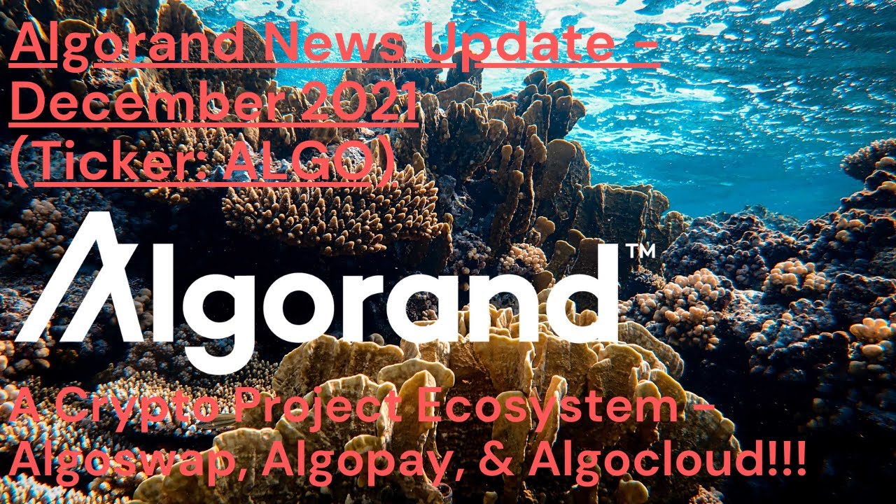 Algorand (ALGO) December 2021 Review. Building A "Behind The Scenes ...
