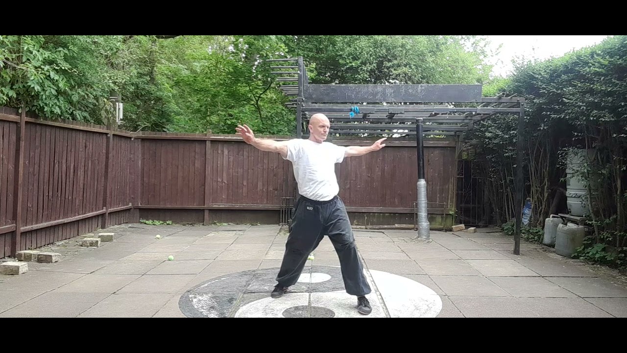 Southern Steelwire Mantis dynamic tension hard qigong training. see ...