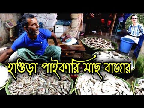 হাওড়া পাইকারি মাছ বাজার ll Howrah fish market 2024 ll Kolkata largest ...