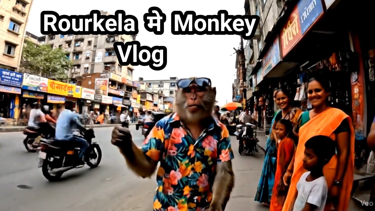 Monkey Vlogging Rourkela || Explore Osrtc Volvo Bus || monkey vlog ...