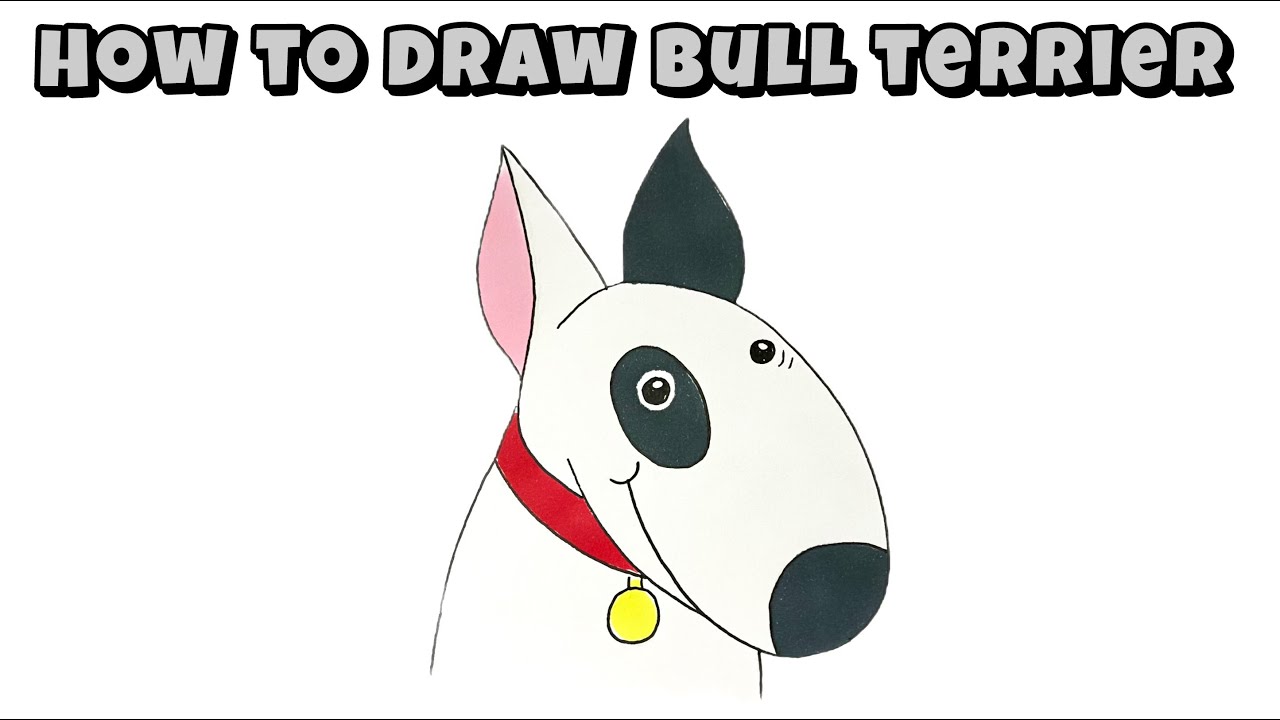 How to Draw Bull Terrier – Step By Step Dog Breeds Colored Marker ...