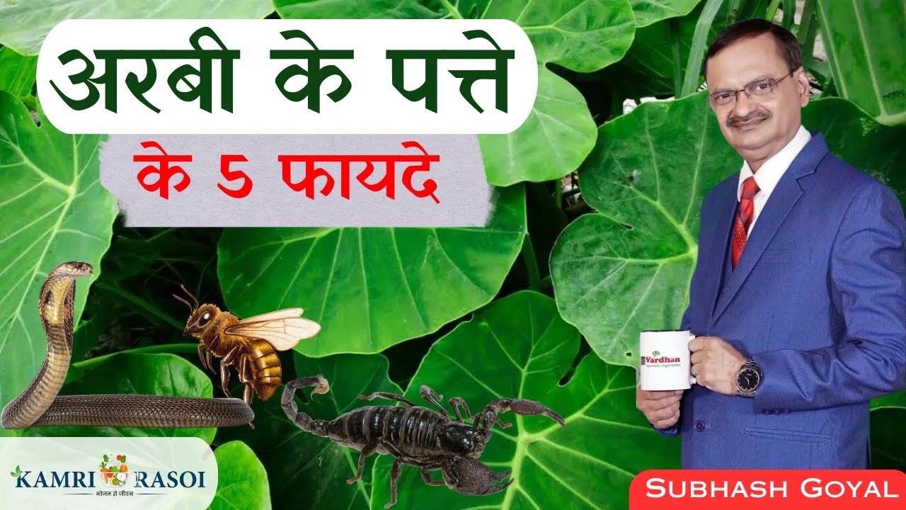 Arbi ke patte ke fayde | अरबी के पत्तों के फायदे आपको कर देंगे हैरान ...