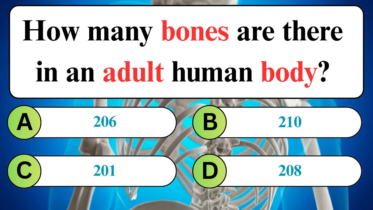 Top 25 Bones Quiz Questions | Test Your Human Skeleton Knowledge ...