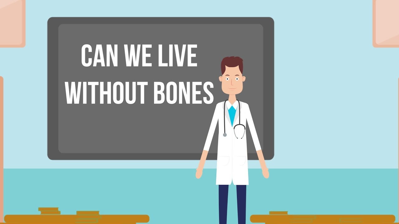 Can We Live Without Bones What If We Do Not Have Any Bone YouTube can-we-live-without-bones-what-if-we-do-not-have-any-bone-youtube