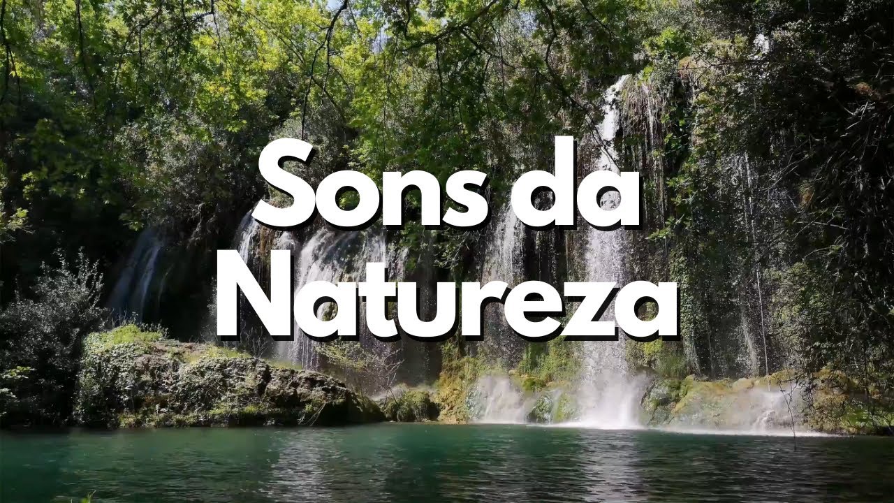 1 HORA COM SONS DA NATUREZA PARA DORMIR E RELAXAR SUA MENTE 🎧 Som Suave ...