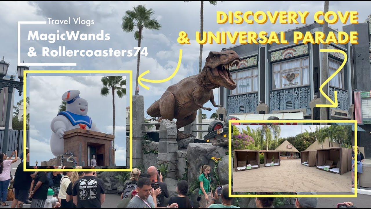 Universal Studios Orlando Vlog Full Day 7 | Discovery Cove Dolphin ...