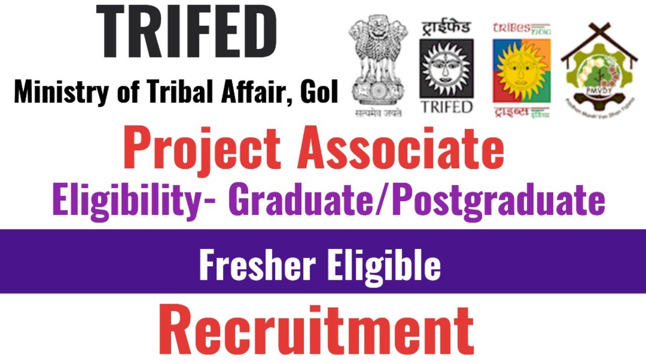TRIFED RECRUITMENT 2023 | Jobs for graduate | Fresher Eligible - YouTube