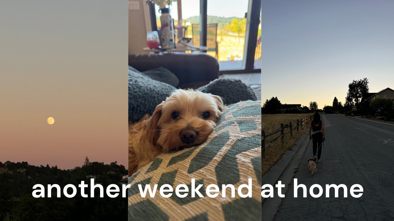 weekend at home vlog (beach time and introvert thoughts) - YouTube